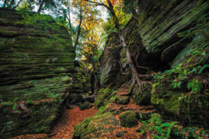 Panama Rocks & Chautauqua Gorge | Upstate New York Hiking Trails